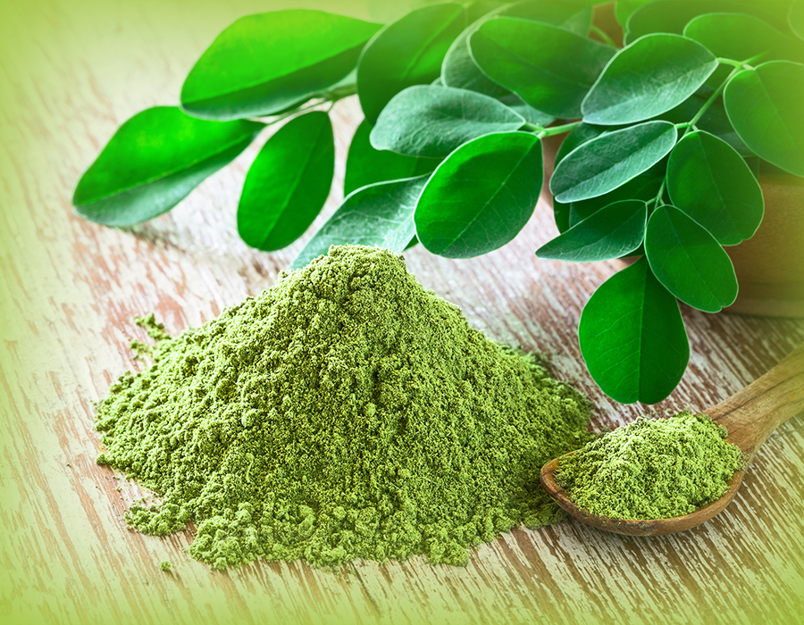 Home - Global Import-Export Solutions, Moringa Powder, Turmeric Powder ...